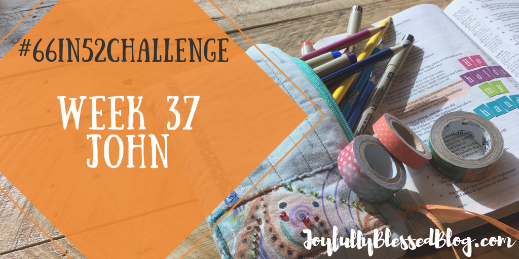 John – Week 37 {66 in 52 Challenge}